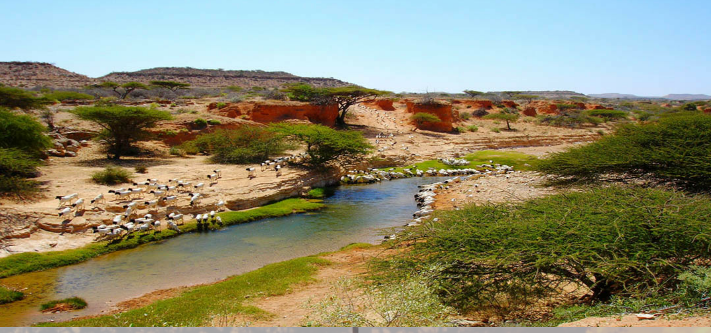 Maysiga adhiga iyo manaafacaadkiisa